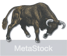 eCHARTS.in - Technical Analysis on Stock and Commodity Markets